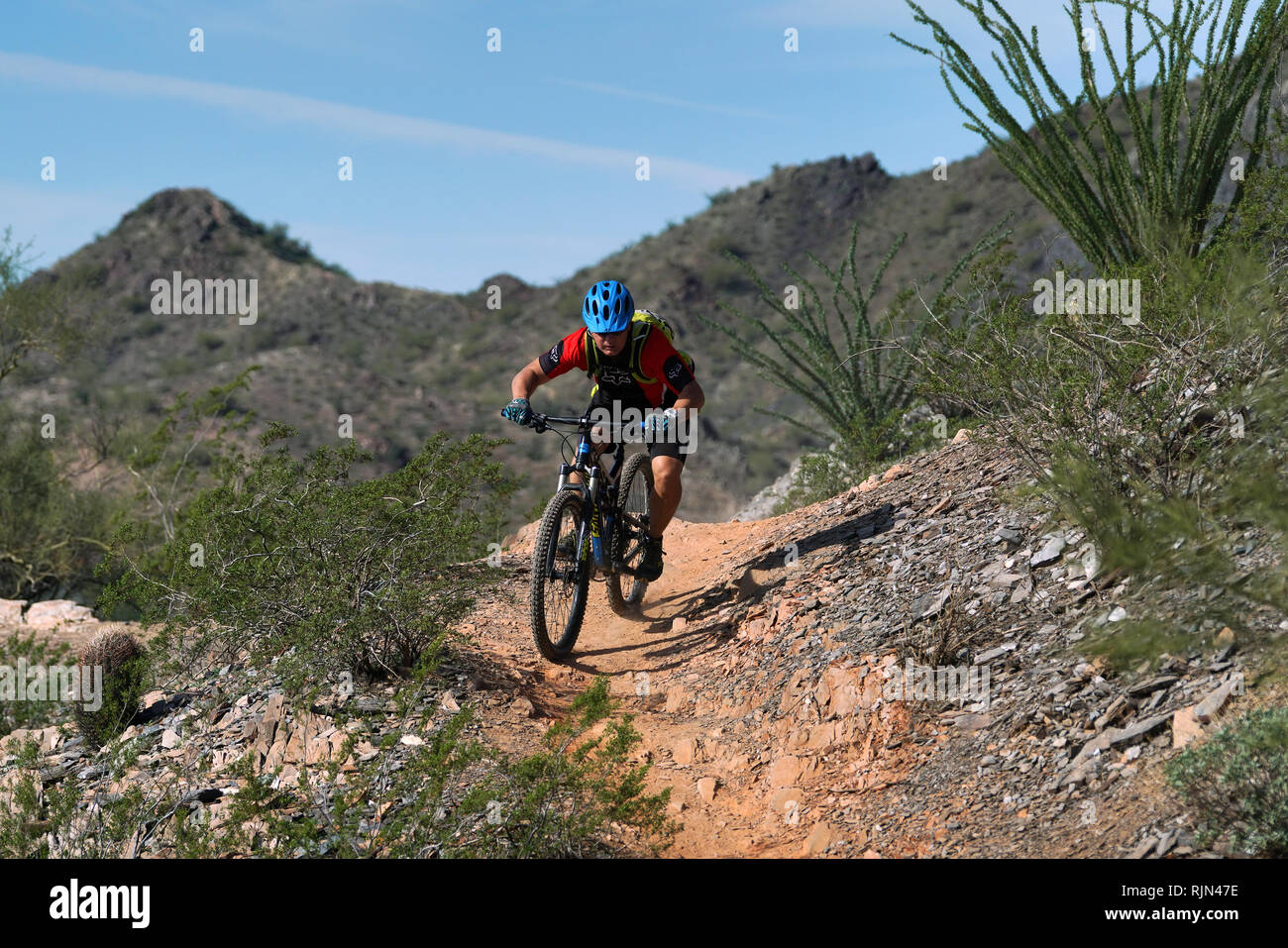 A mountain biker goes for a ride on a trail in Phoenix, Arizona Stock ...