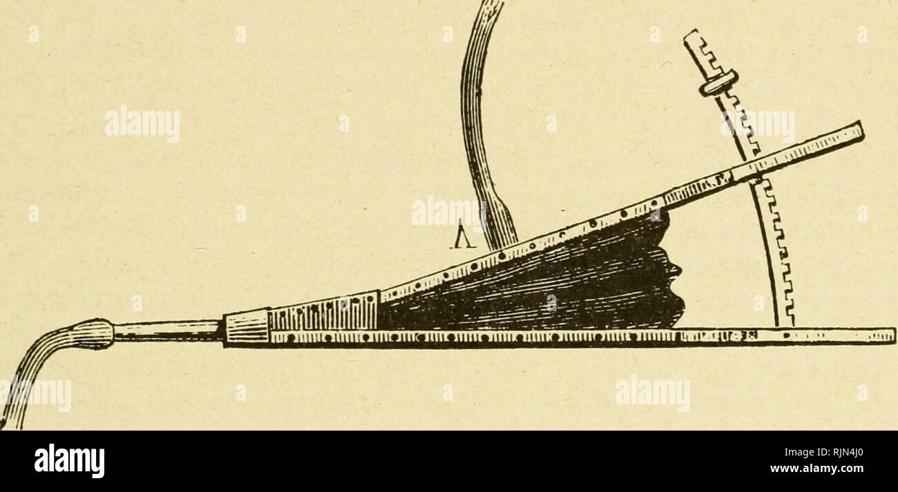Respiration bellows hi-res stock photography and images - Alamy