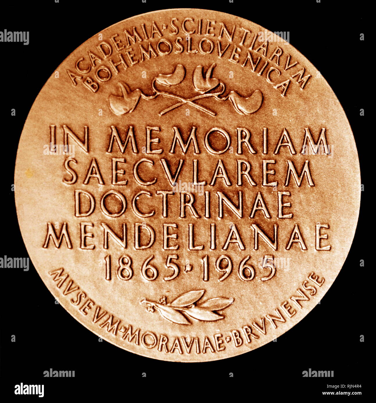 Gregor johann mendel hi-res stock photography and images - Alamy