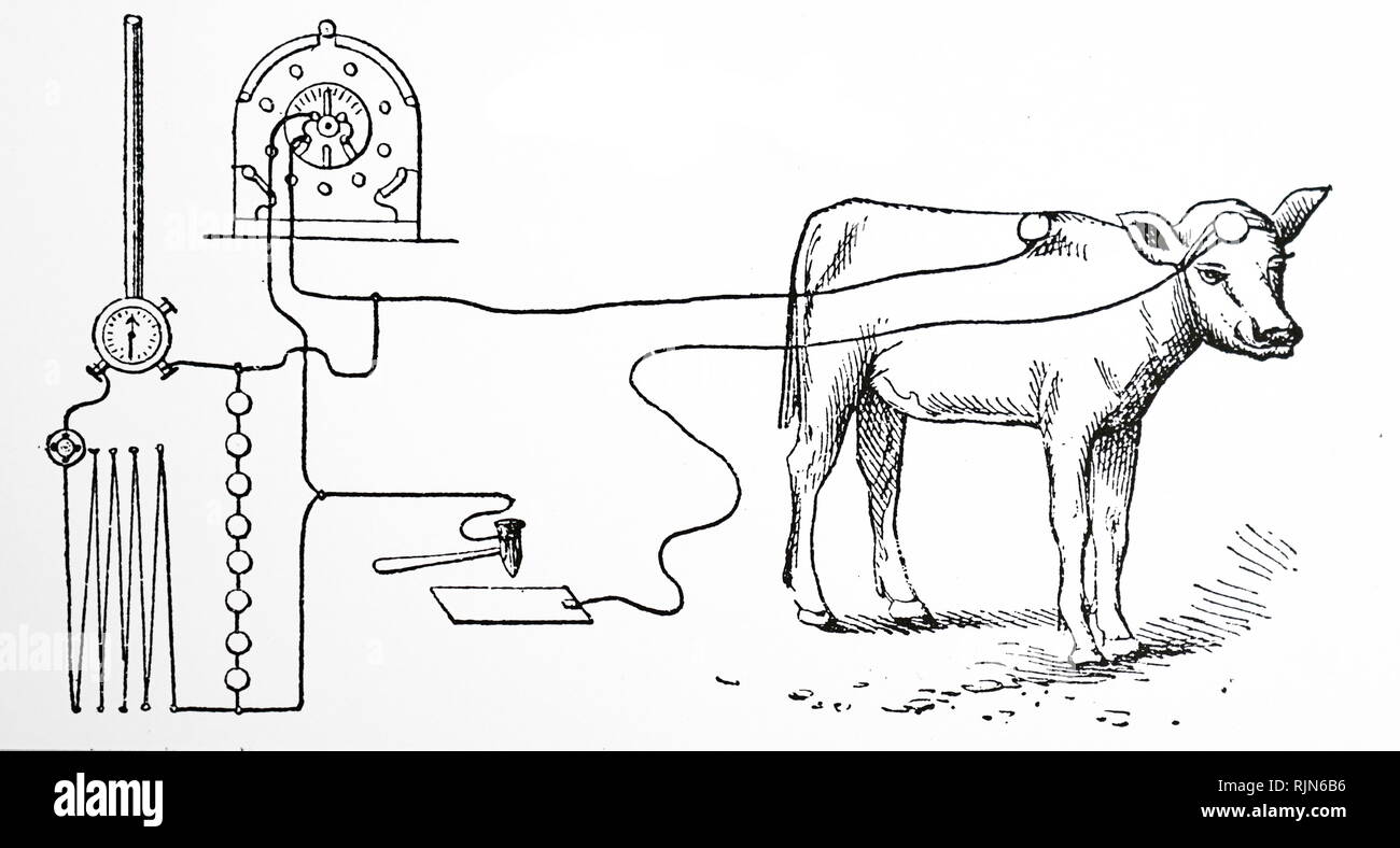 Illustration showing Experiment carried out at Edison laboratory at ...