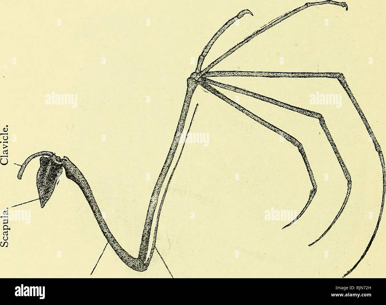 Cognisant hi-res stock photography and images - Alamy