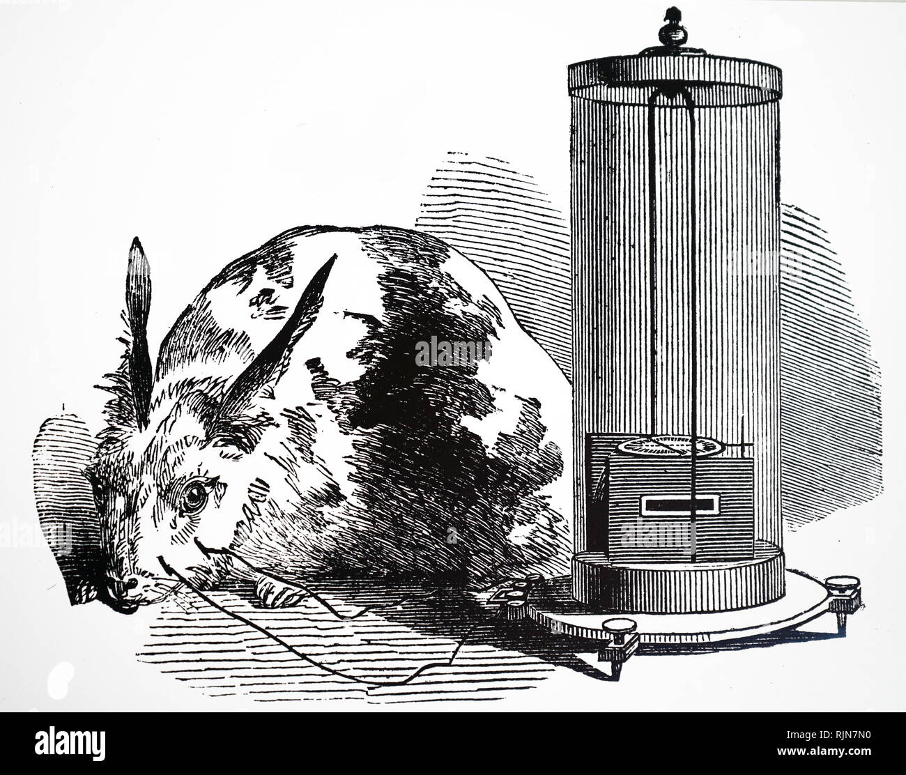 Black holes white poles – Telegraph Black holes white poles – Telegraph