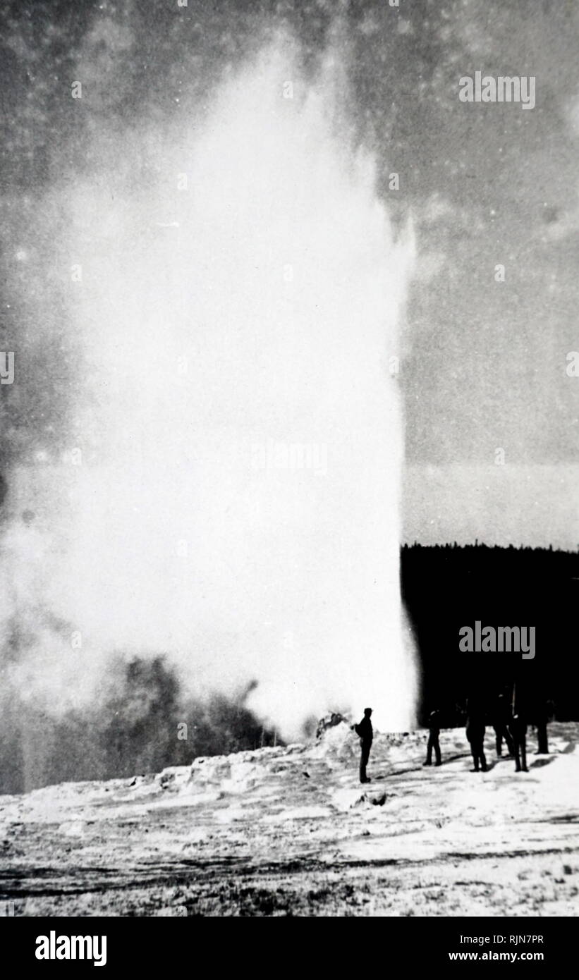A photograph of Old Faithful, the big geyser in Yellowstone Park. Dated ...