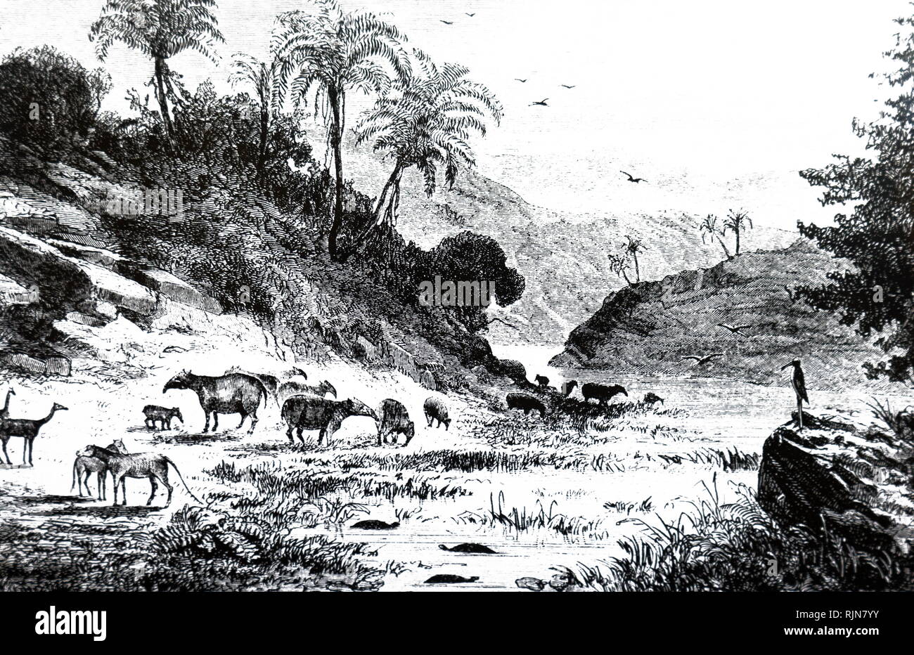 An engraving depicting an imaginary landscape during the Tertiary ...