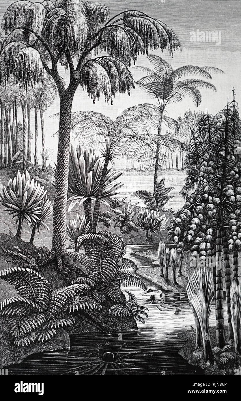 Carboniferous forest illustration hi-res stock photography and images ...