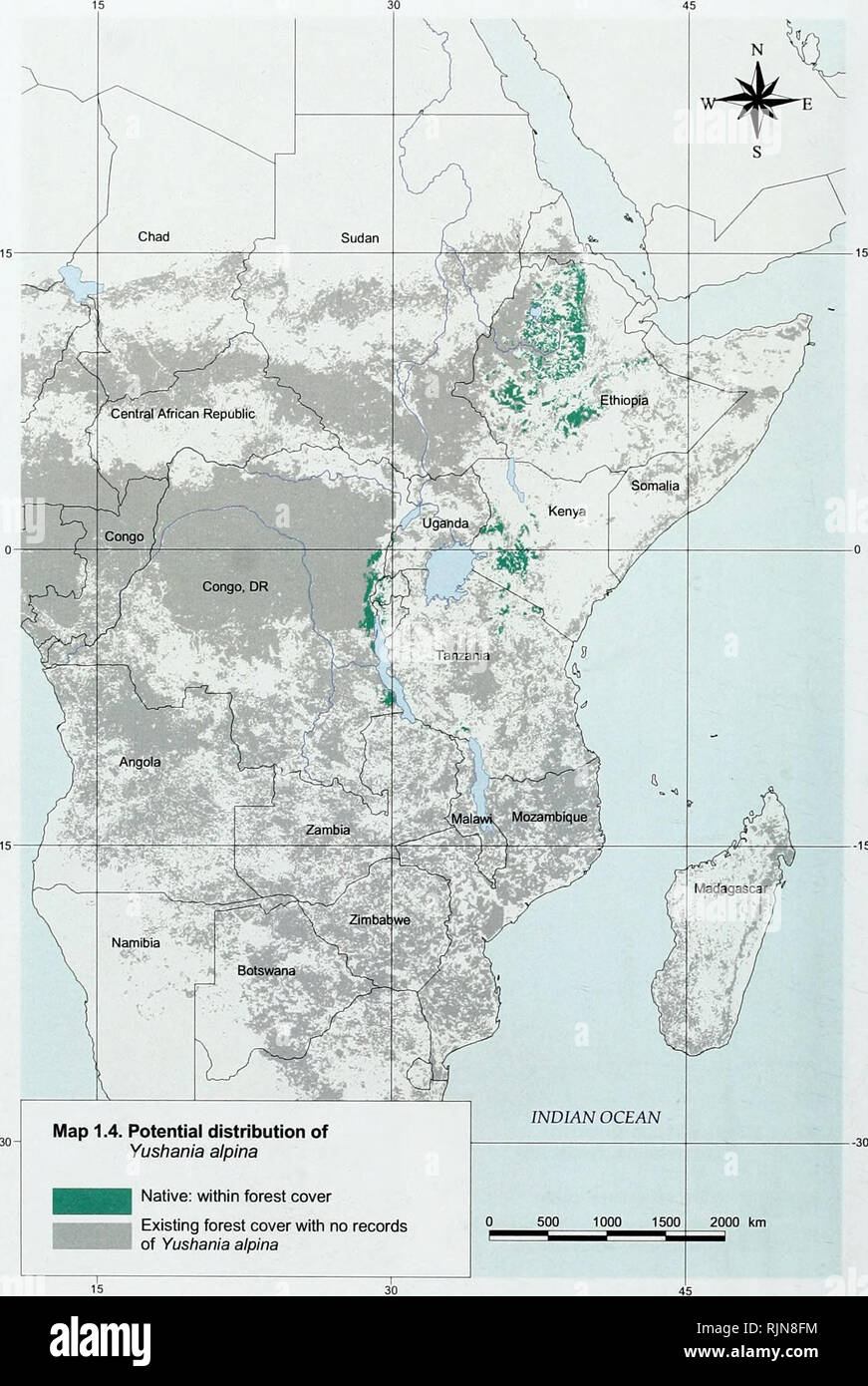 . Bamboo biodiversity : Africa, Madagascar and the Americas. Bamboo ...