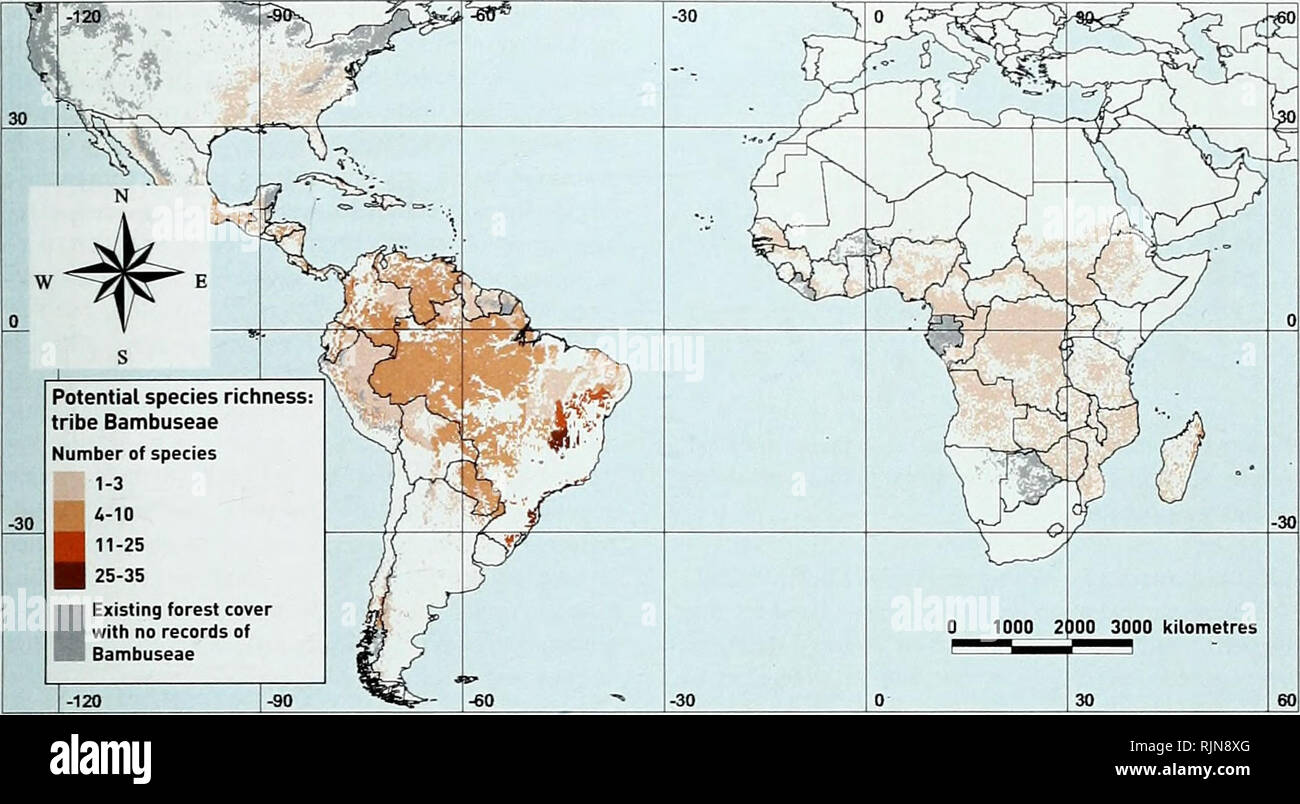 . Bamboo Biodiversity: information for planning conservation and ...