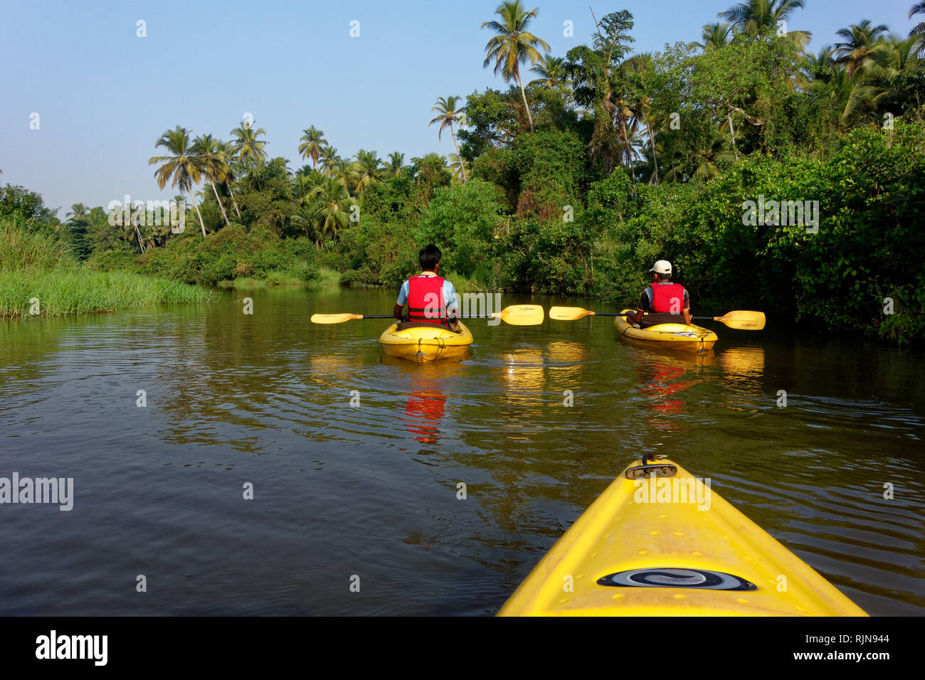 Kayaking on the Sal river, Goa, India February 2019. This activity ...