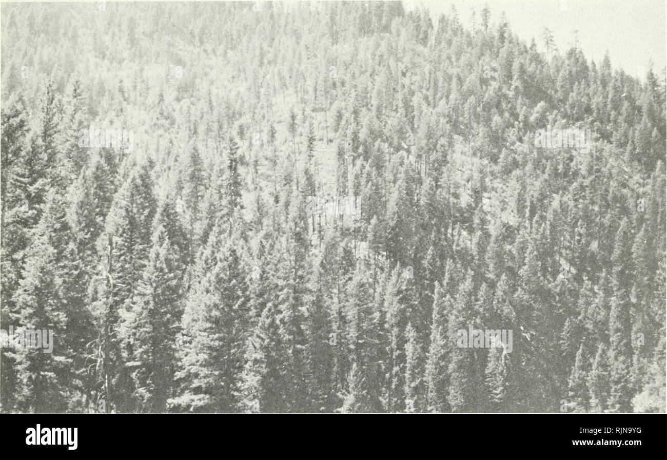 . Balloon logging in the Idaho Batholith : feasibility study. Logging ...