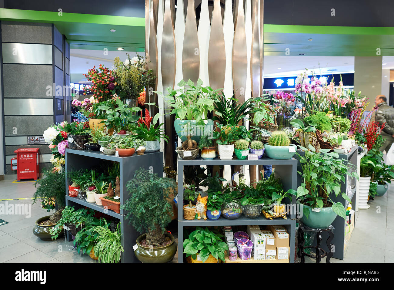 SHENZHEN, CHINA - JANUARY 23, 2016: interior of blt market in ShenZhen ...