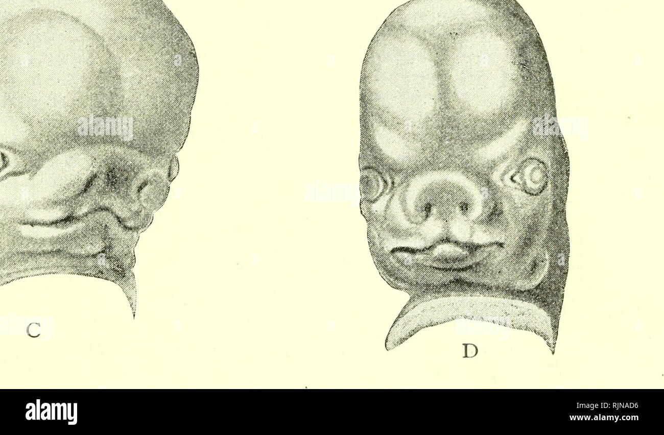 Globulares hi-res stock photography and images - Alamy