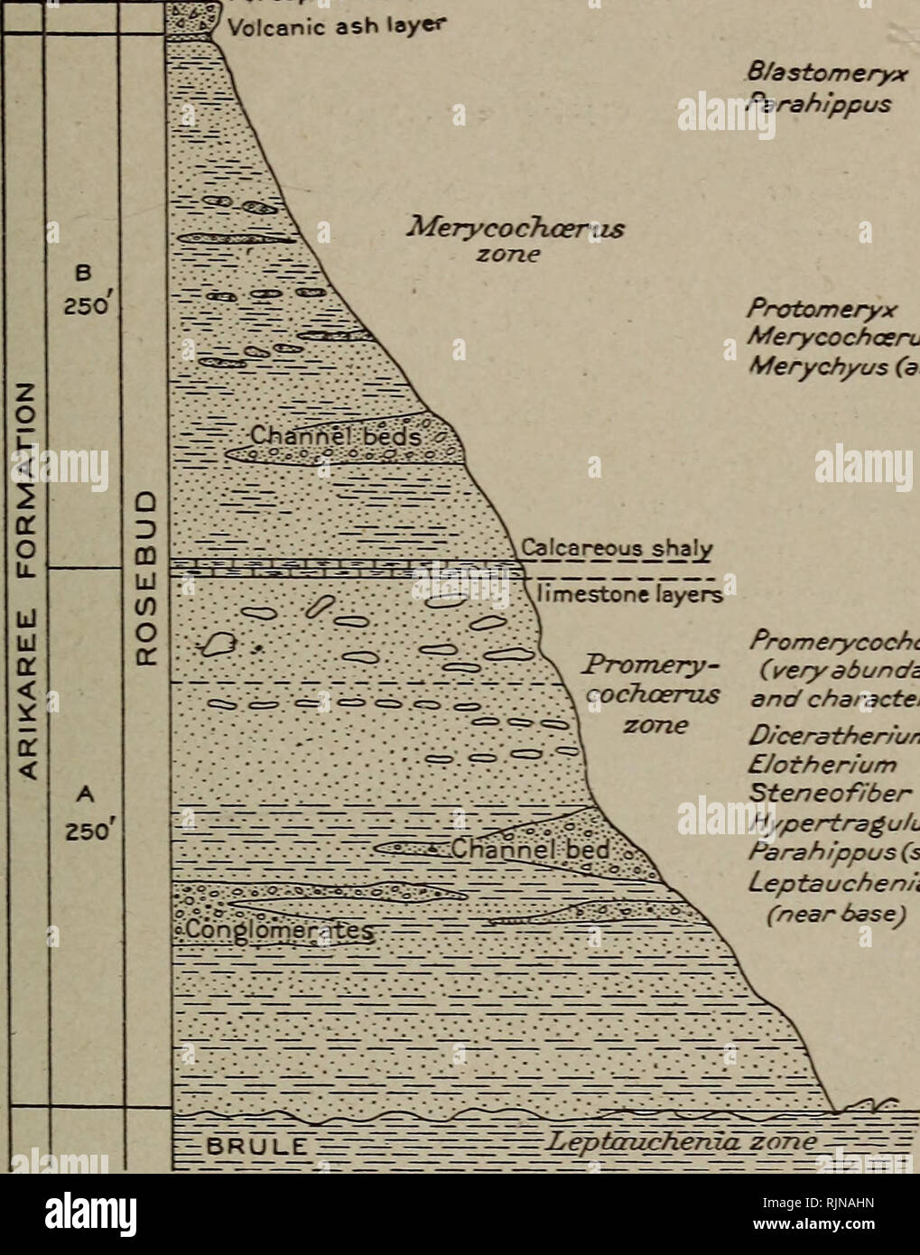 . The Badland formations of the Black Hills region. Geology; Geology ...