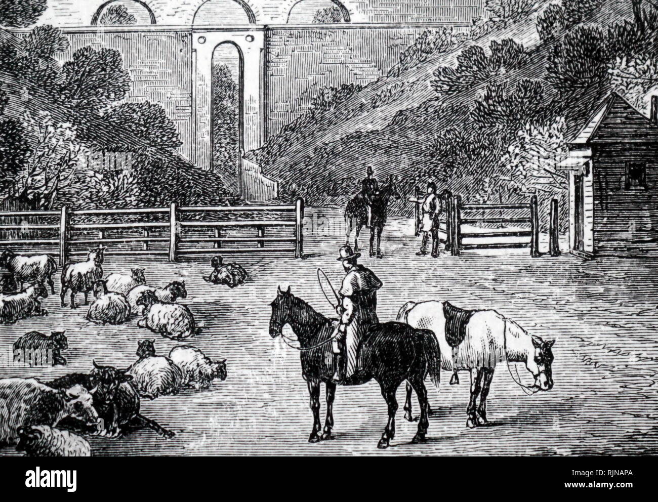 An engraving depicting Highgate Archway. This is the beginning of the ...