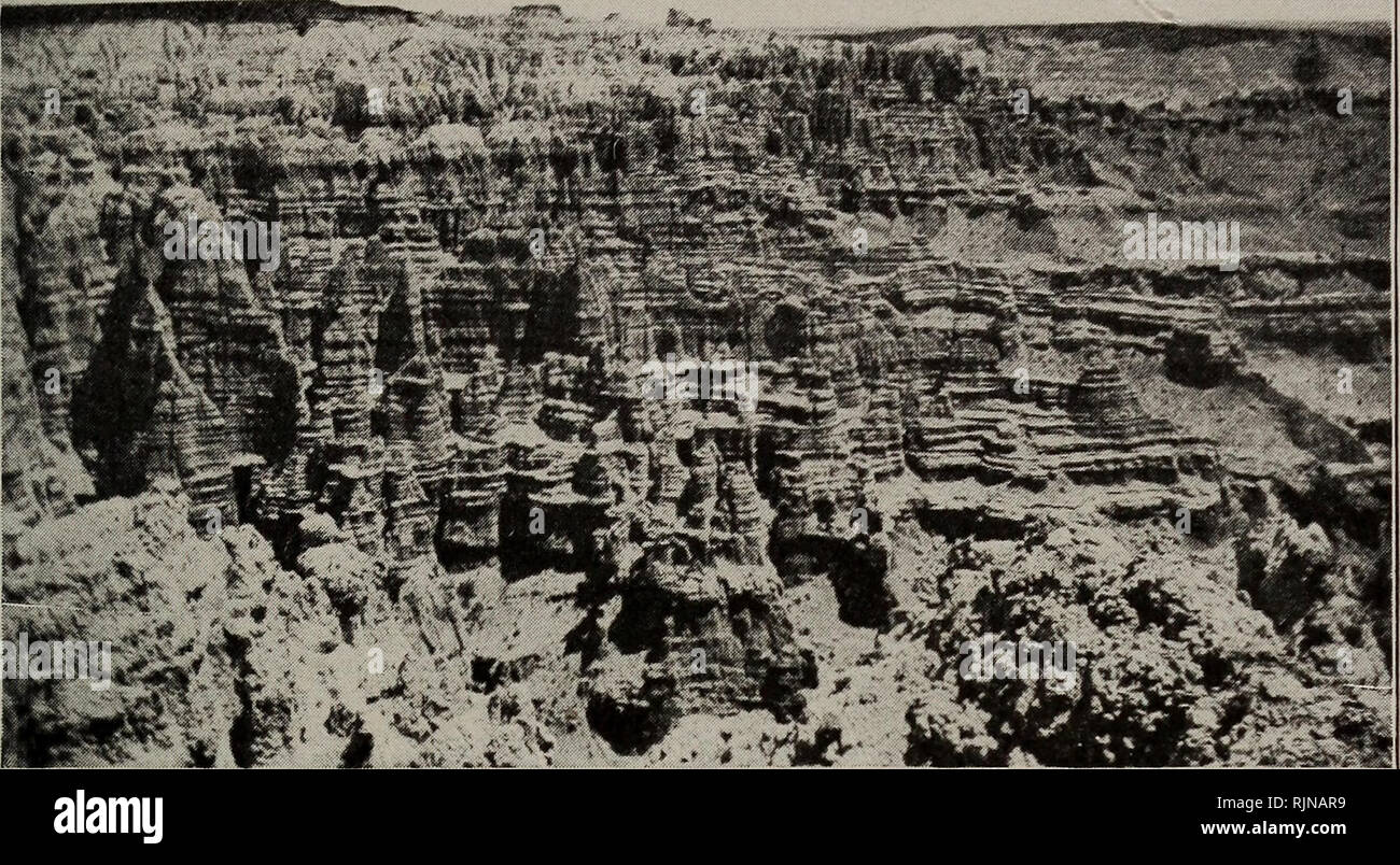 . The Badland formations of the Black Hills region. Geology; Geology ...