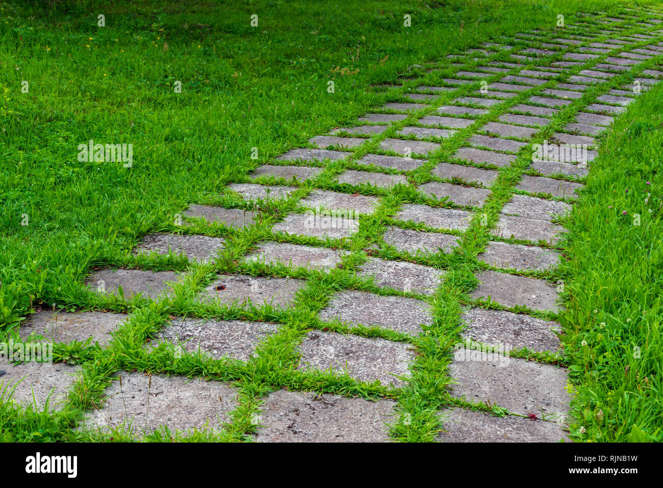 Square concrete pavement walkway overgrown with grass Stock Photo - Alamy