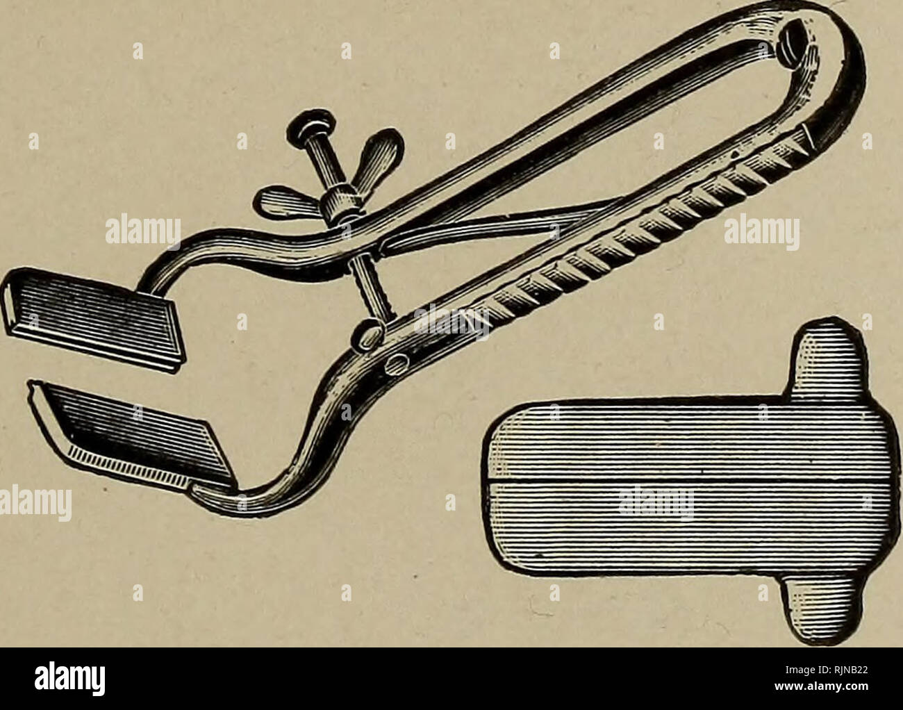 Circumcision clamp hi-res stock photography and images - Alamy