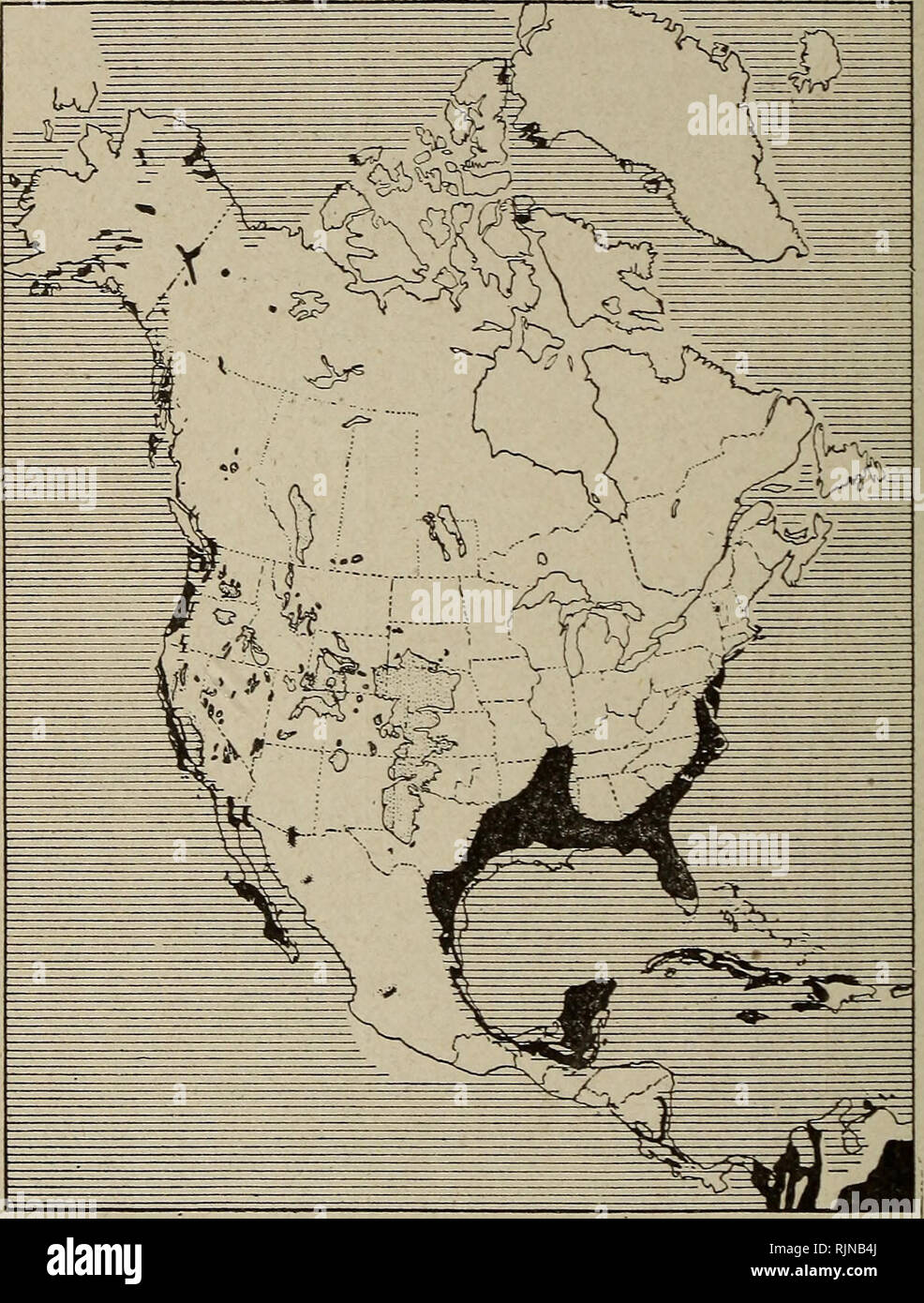 Tertiary period continent hi-res stock photography and images - Alamy