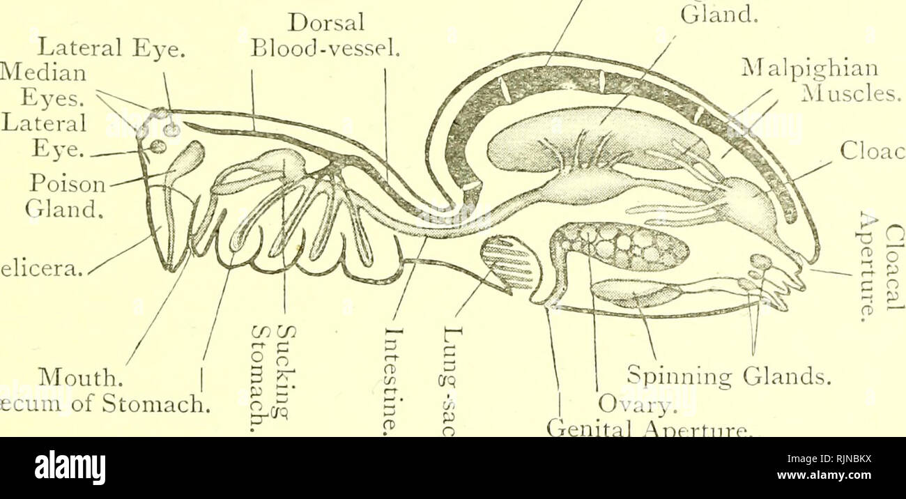 Median aperture hi-res stock photography and images - Alamy