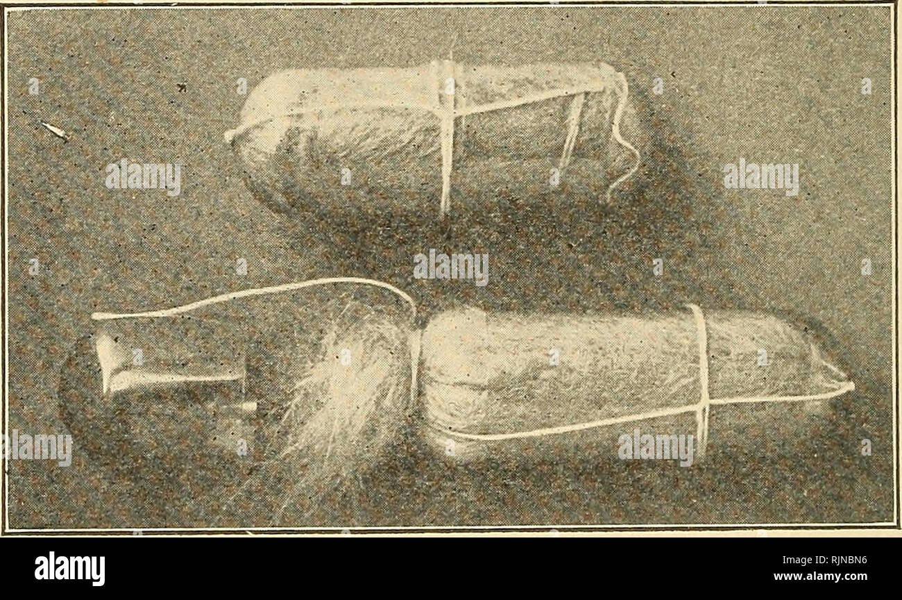 Wound healing drawing hi-res stock photography and images - Alamy