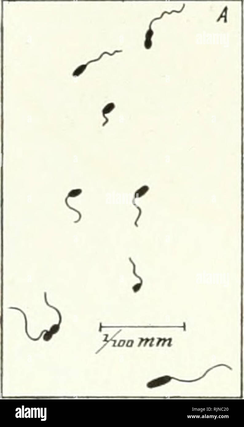Pi stain hi-res stock photography and images - Alamy