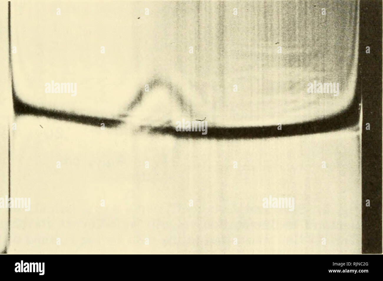 . Bacterial photosynthesis. Bacteria -- Physiology; Photosynthesis. CHL ...