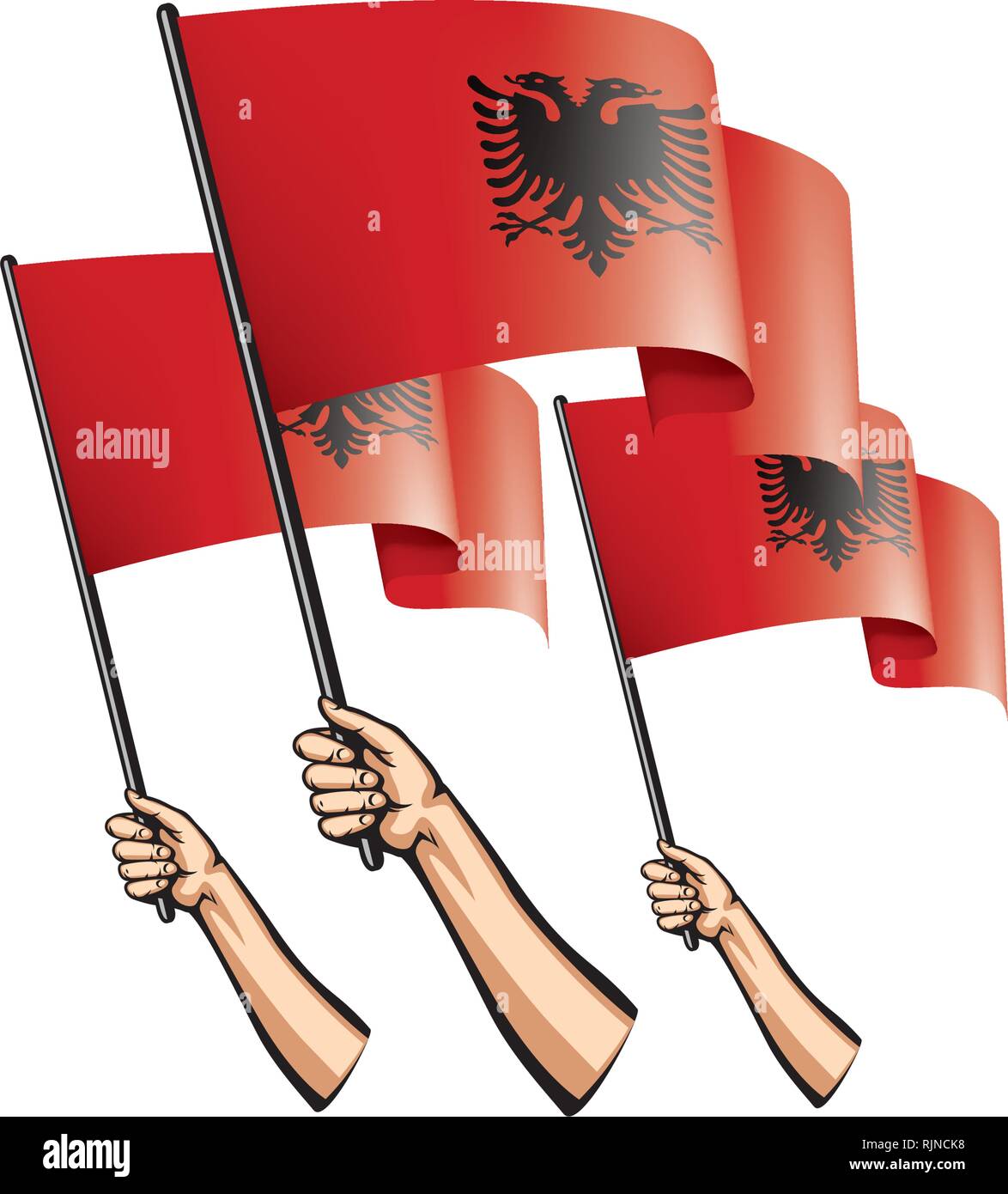 Albania flag and hand on white background. Vector illustration Stock ...