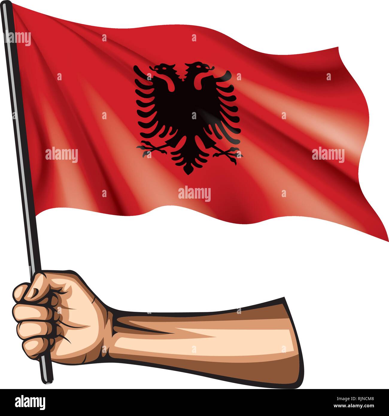 Albania flag and hand on white background. Vector illustration Stock ...