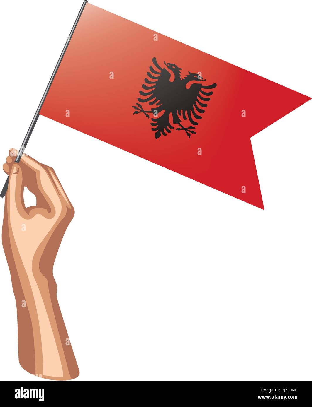 Albania flag and hand on white background. Vector illustration Stock ...
