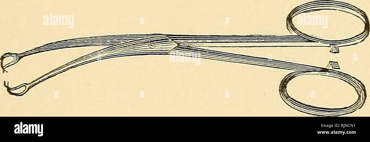 Tenaculum surgical hi-res stock photography and images - Alamy