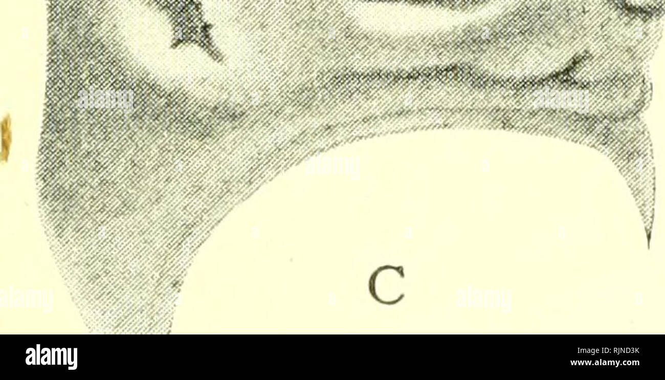 . A text-book of embryology for students of medicine [electronic ...