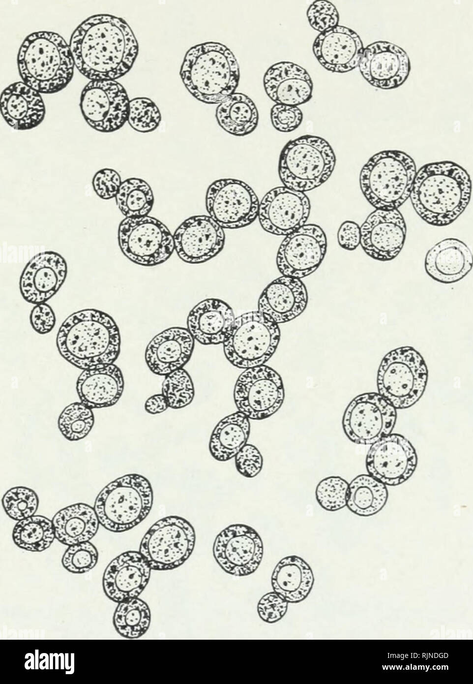 . Bacteriological methods in food and drug laboratories, with an ...