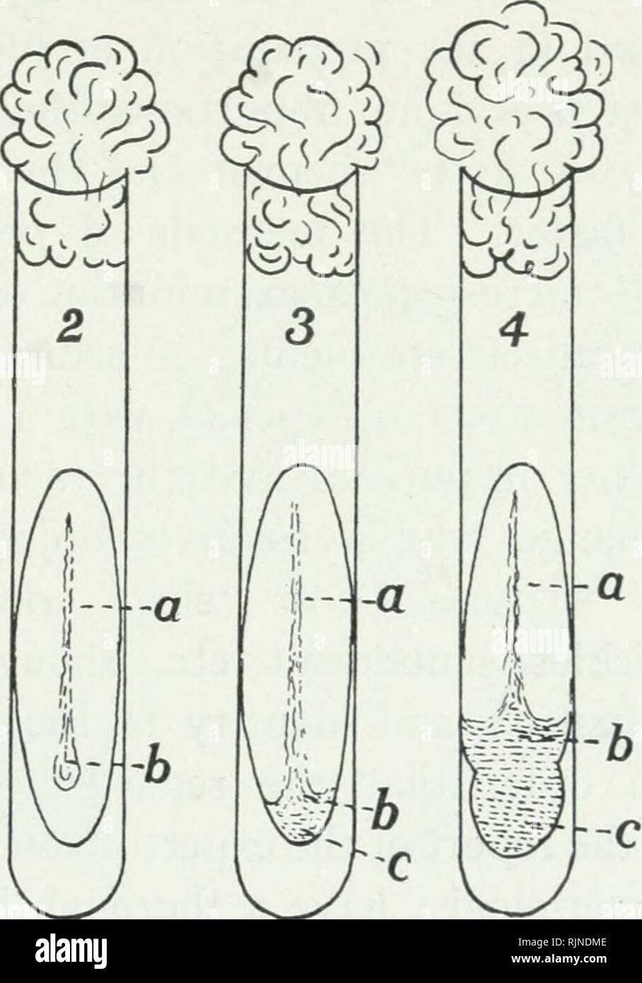 . Bacteriological methods in food and drug laboratories, with an ...