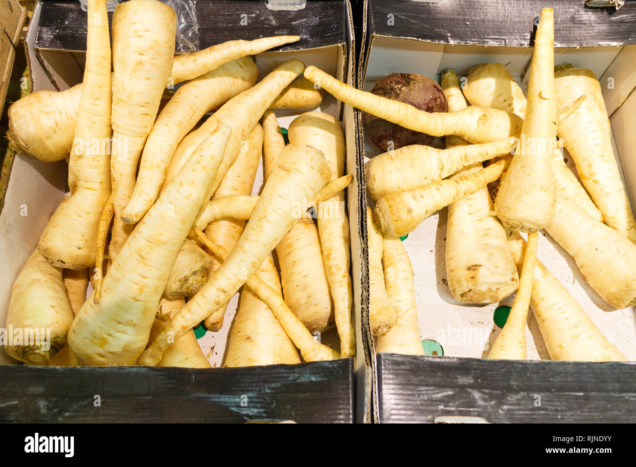 Healthy vegetables, organic fresh food concept. Closeup, pile of many ...