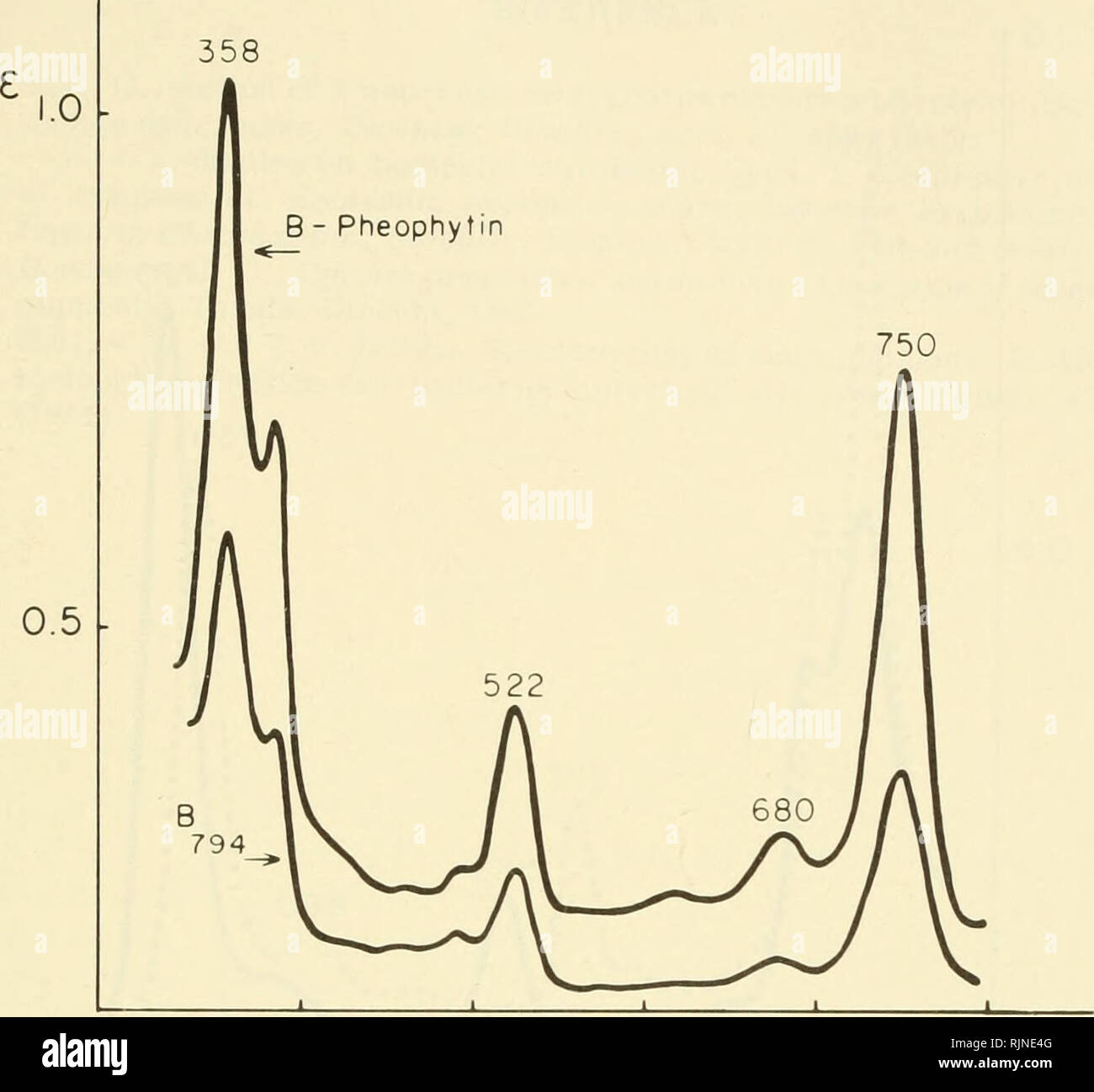 . Bacterial photosynthesis. Bacteria -- Physiology; Photosynthesis ...