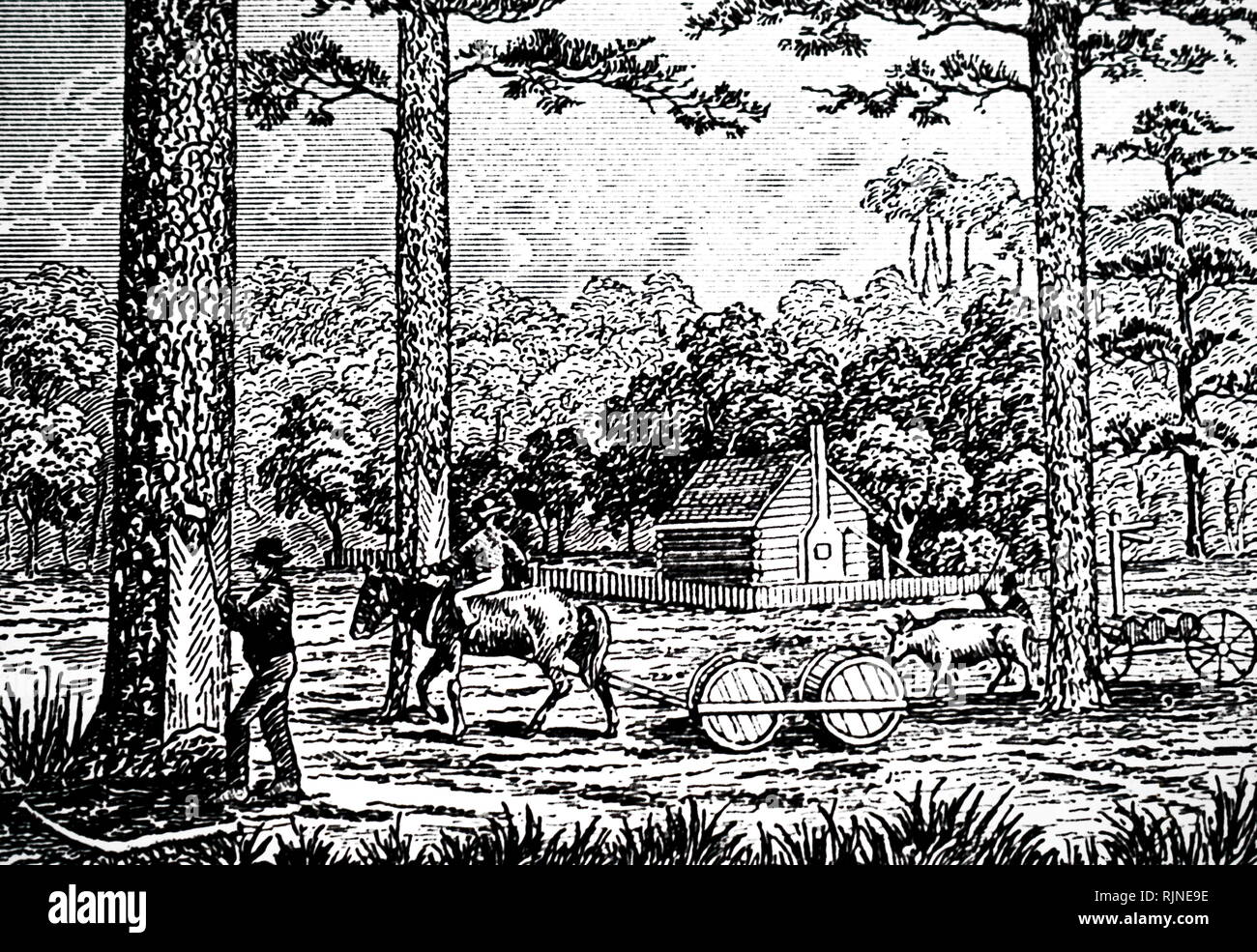 The turpentine hi-res stock photography and images - Alamy