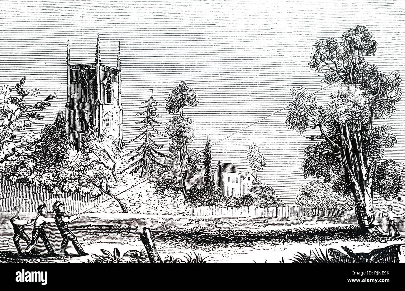 Engraving depicting the felling of a tree for firewood. Dated 19th ...