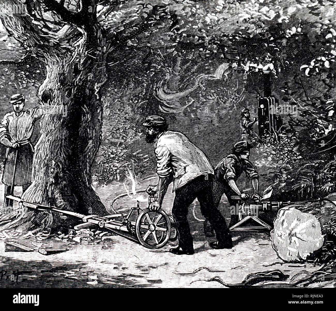 Steam tree felling hi-res stock photography and images - Alamy