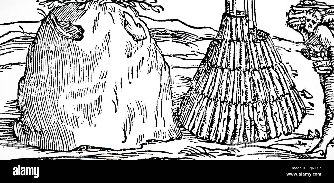 Woodcut engraving depicting charcoal burning: on the right of the ...