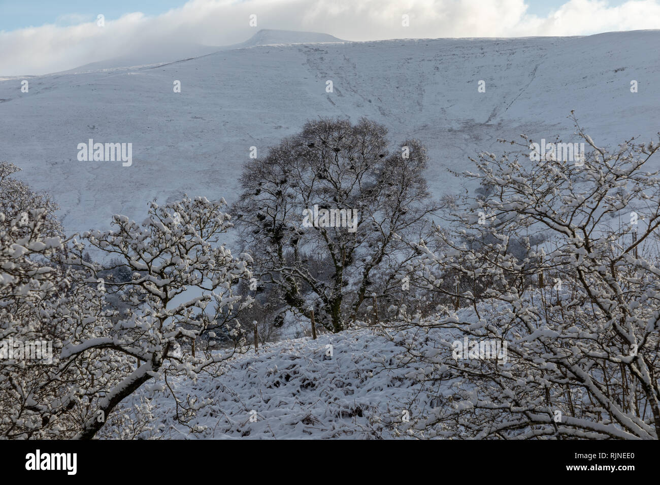 Snow covered scenes in the Brecon Beacons National Park, Wales, UK ...