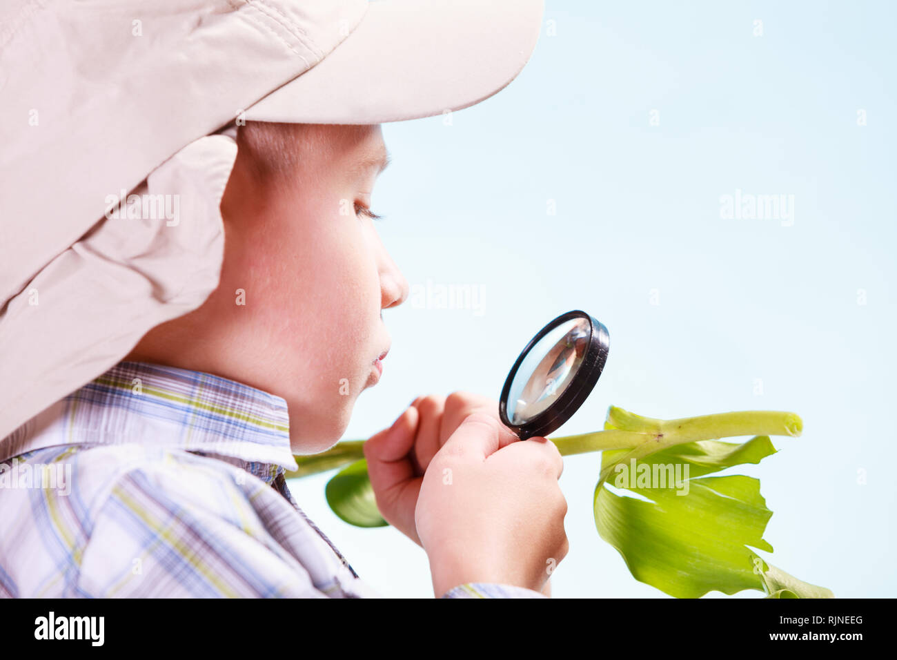 Early education nature and biology. Little boy examine flower with ...