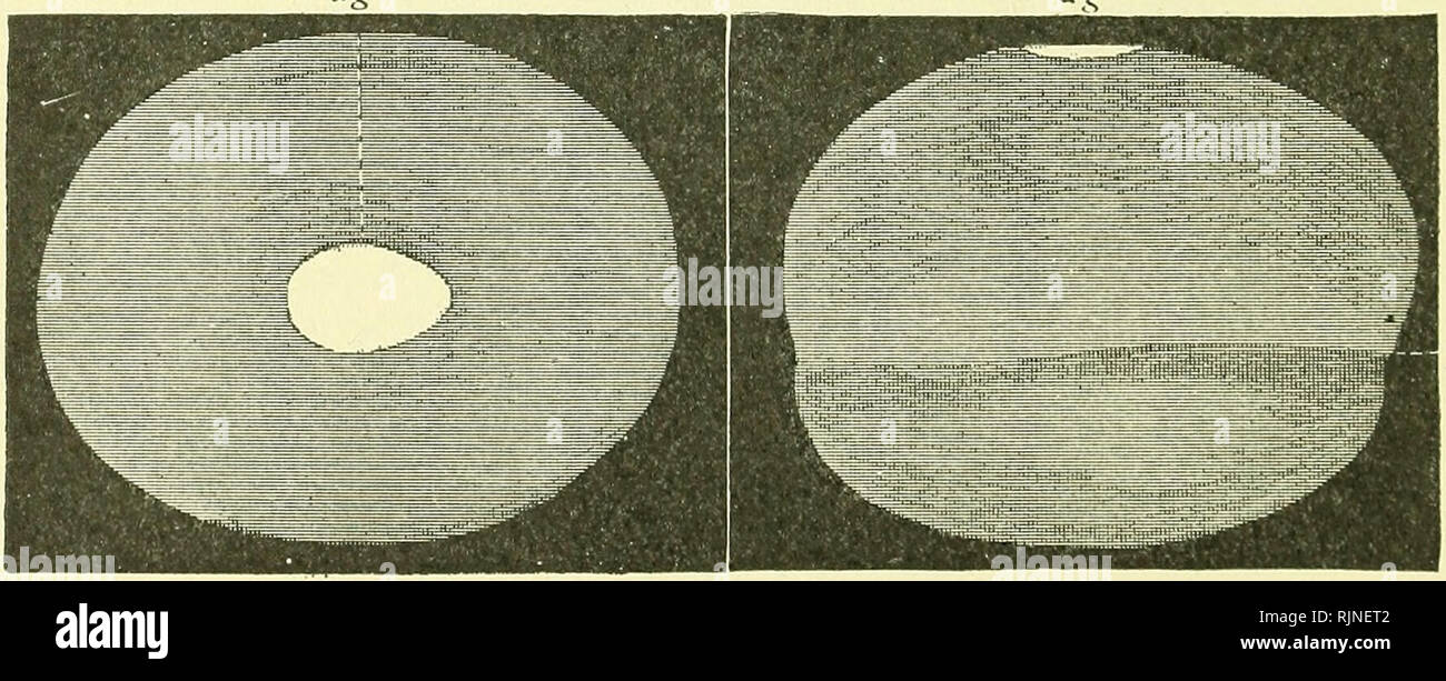 Inner Cell Mass High Resolution Stock Photography and Images - Alamy
