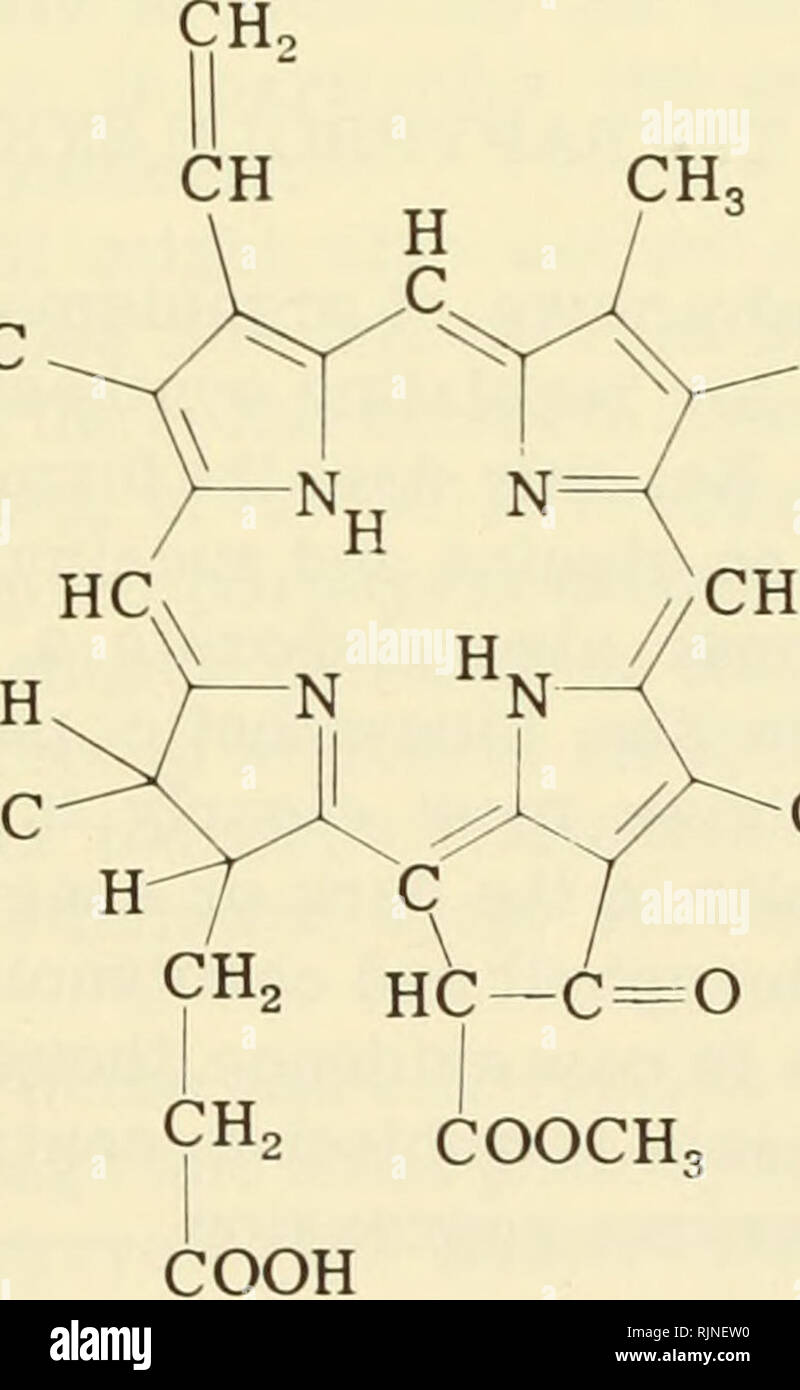 Pheophorbide a hi-res stock photography and images - Alamy