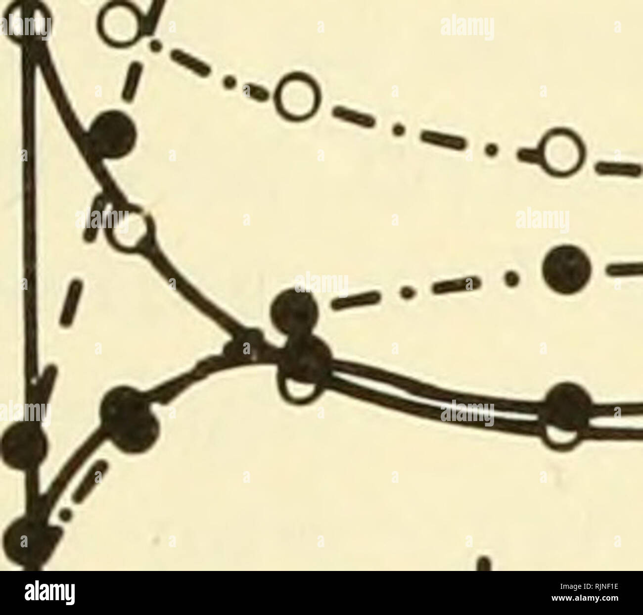 Neurosporene hi-res stock photography and images - Alamy