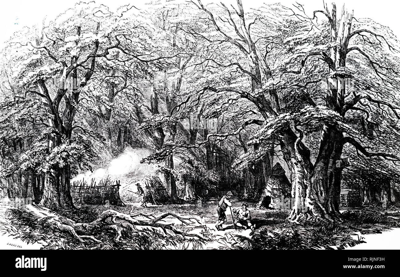 Mark ash wood hi-res stock photography and images - Alamy