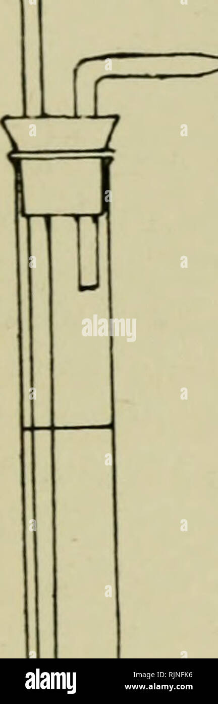 Pyrogallic hi-res stock photography and images - Alamy