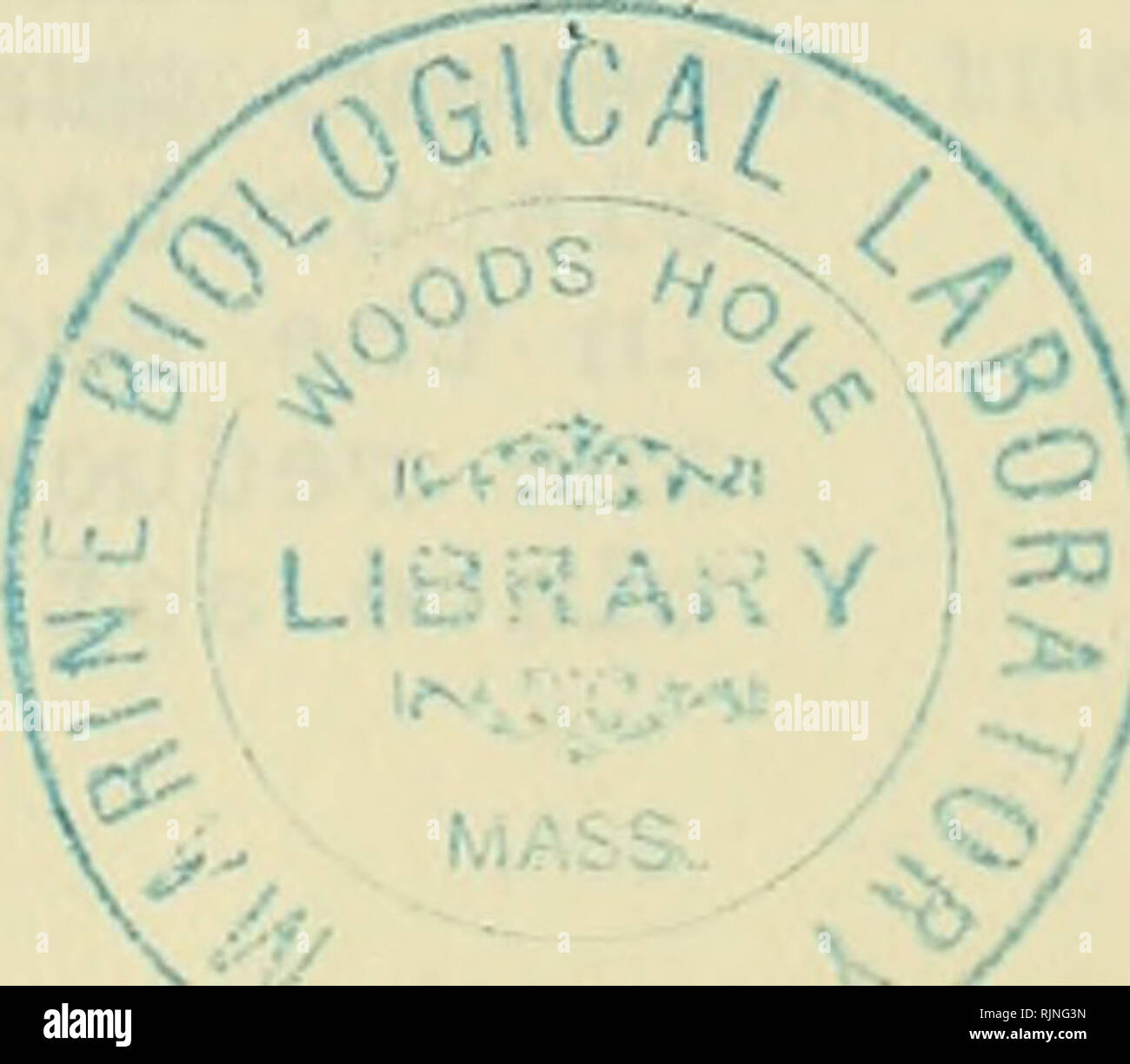 Pyrogens hi-res stock photography and images - Alamy