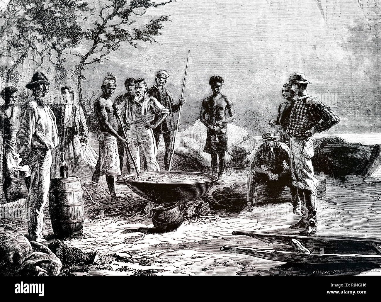 An engraving depicting a sea cucumber or Trepang, a marine animal, an ...