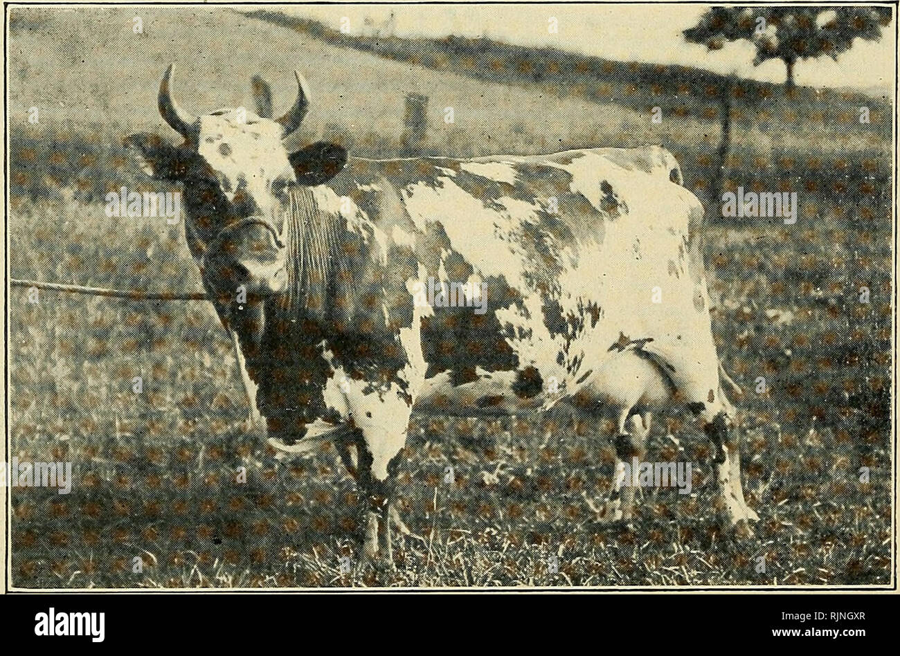 Fat 10 year old hi-res stock photography and images - Alamy