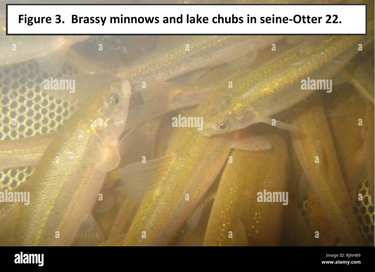 Baseline sampling hi-res stock photography and images - Alamy