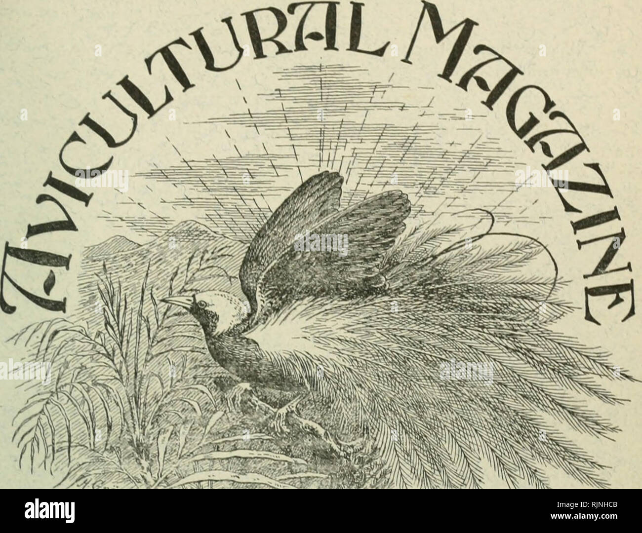 Mrs c s johnstone hi-res stock photography and images - Alamy